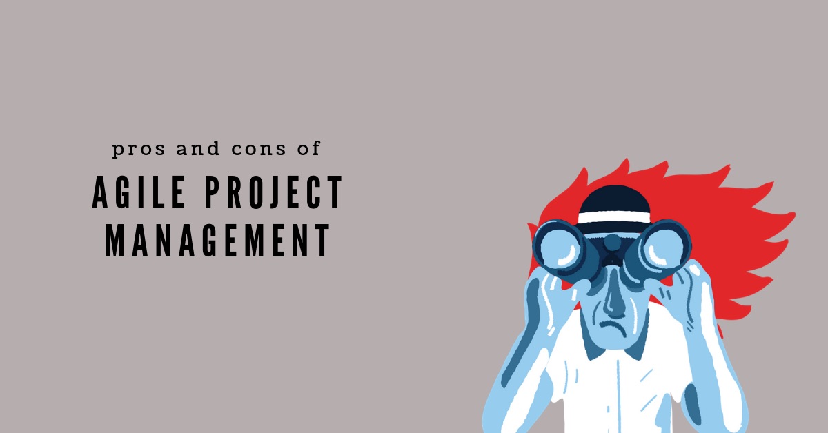 Pros and Cons of Agile Project Management | VivifyScrum